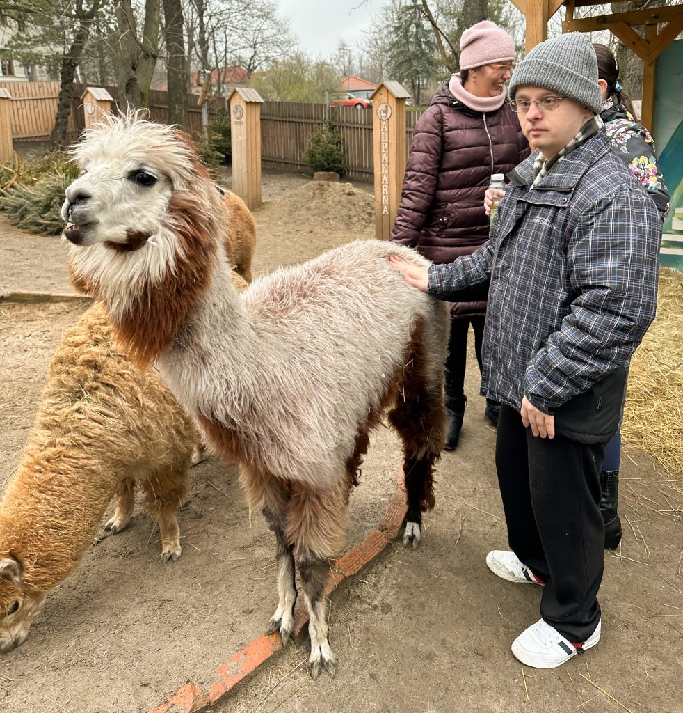 Tip na výlet: Za exotickými lamami do Mostu - centralmost.cz